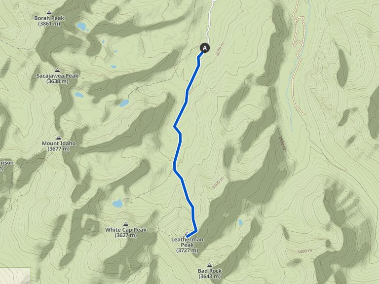 Leatherman Peak vom Upper Pahsimeroi Trailhead - Lost River Range ...